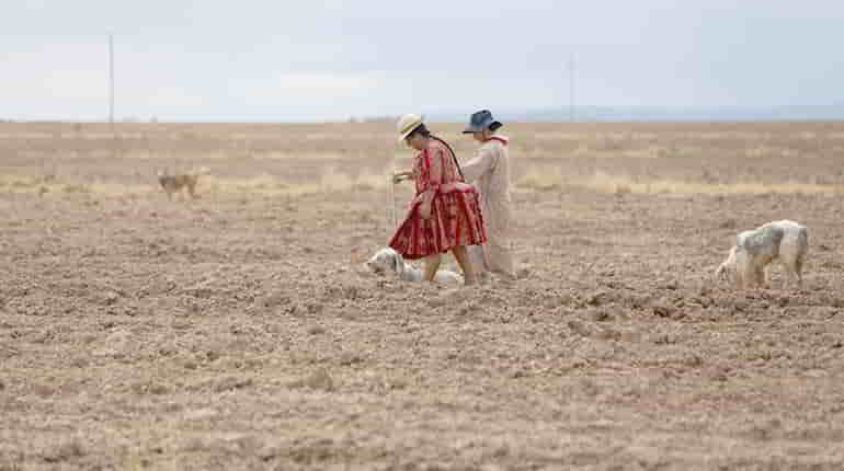 Cañahua, el grano de oro boliviano, un alimento de exportación ...